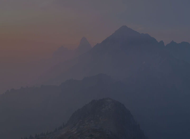 Šta je namera i kako nas ona može dovesti do ispunjenja naše svrhe ...